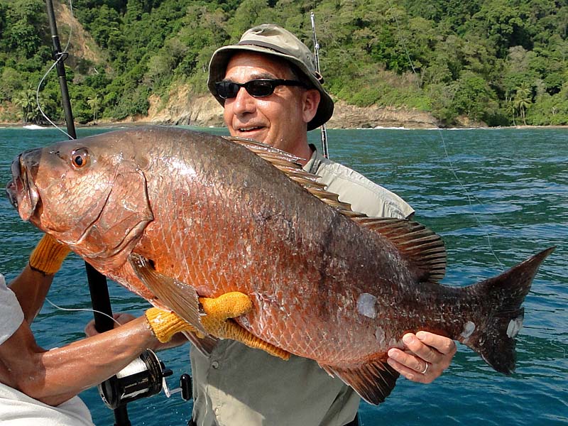 CUBERA SNAPPER • Sport Fishing Panama