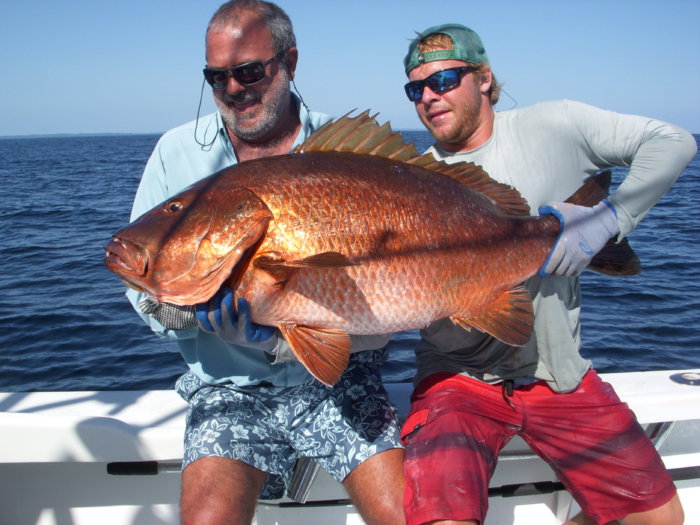 CUBERA SNAPPER • Sport Fishing Panama