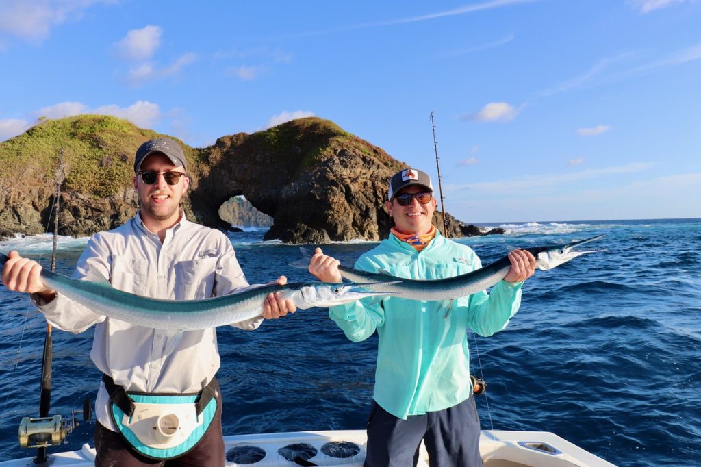 Houndfish - Black Marlin Fishing - Marlin Panama